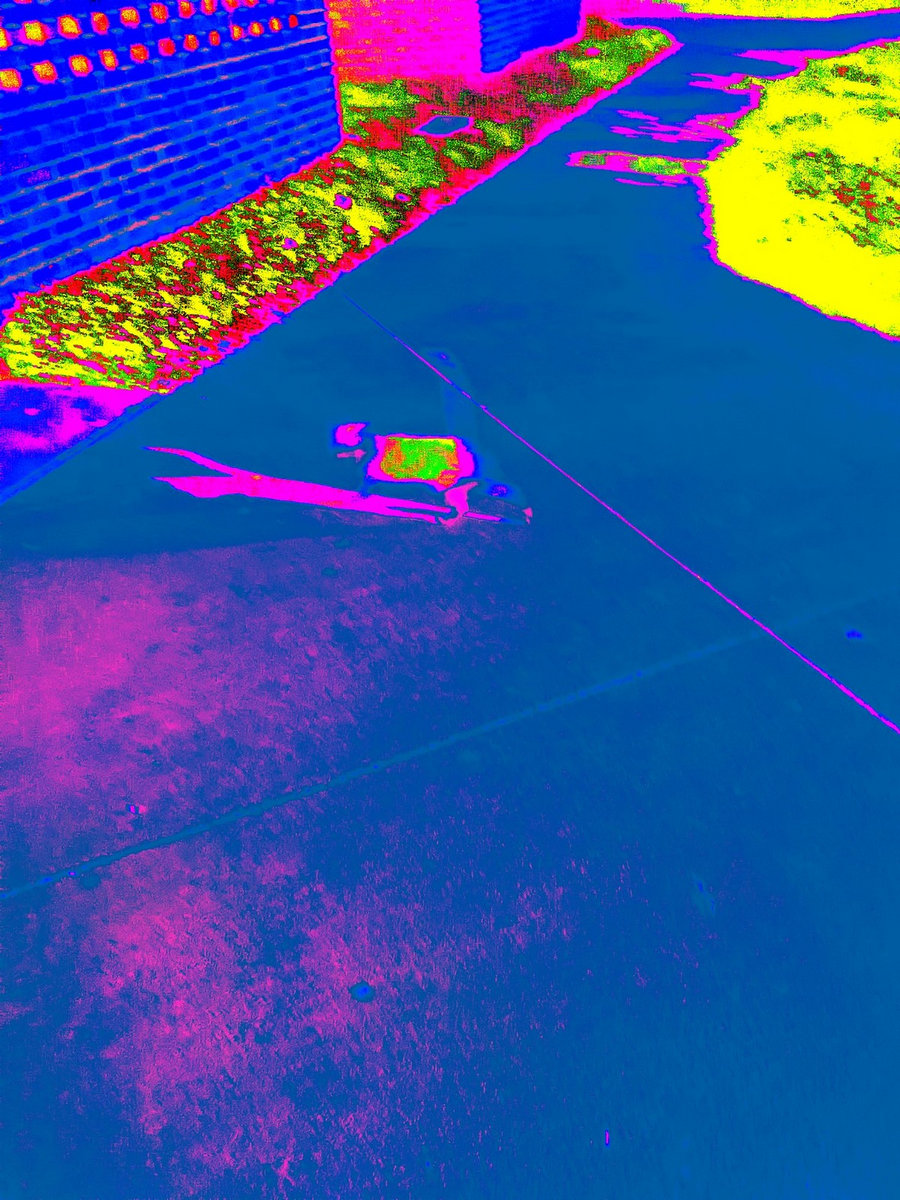 A CAT NAMED MICHEL (DEMO) | Acidulent