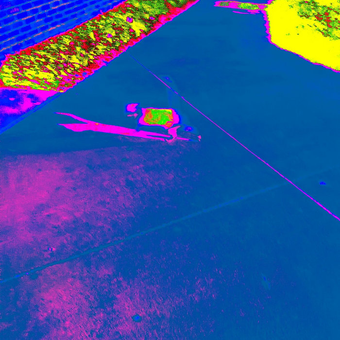 A CAT NAMED MICHEL (DEMO) | Acidulent