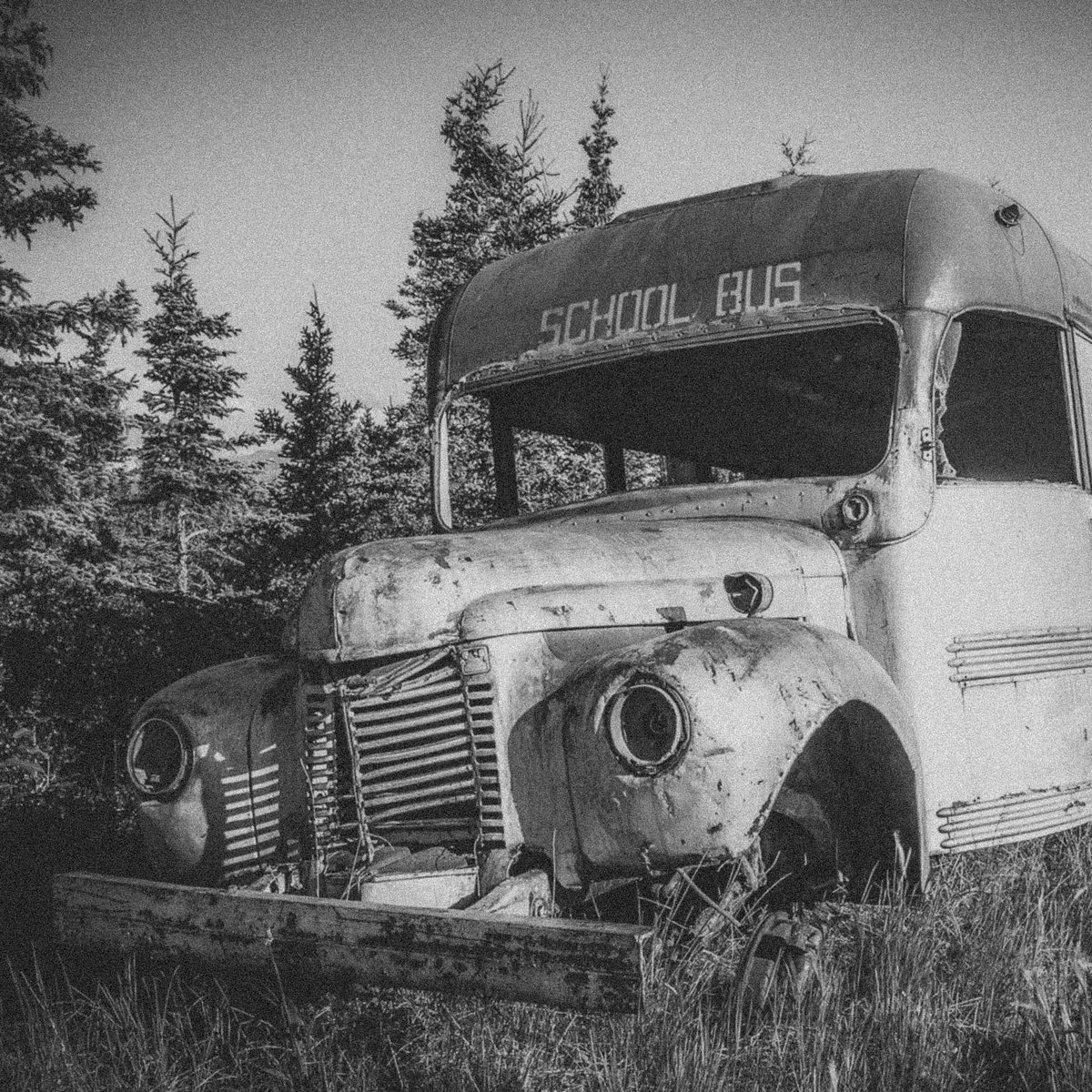 Fragile Dream | The Vard