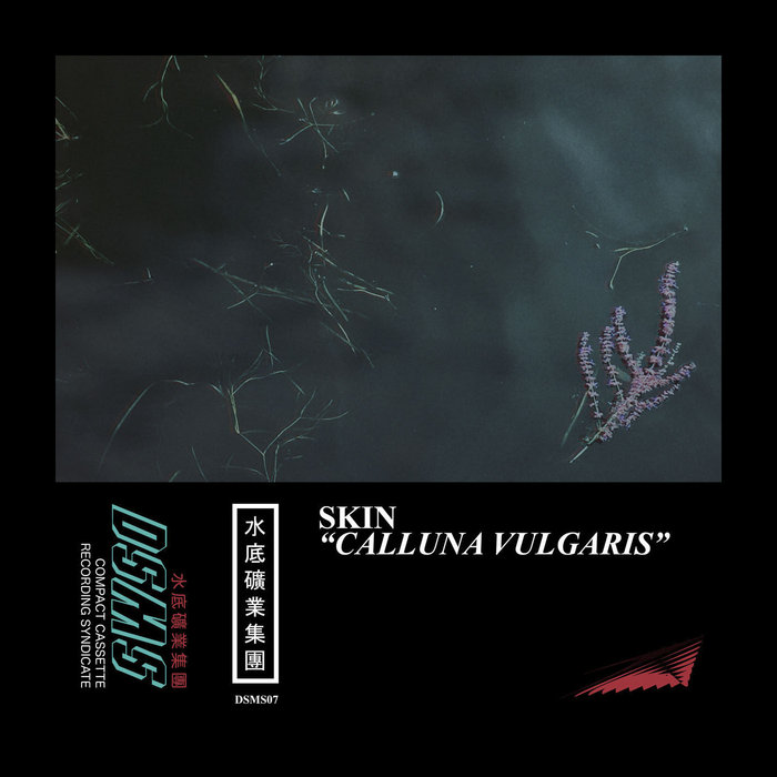 Calluna Vulgaris | Skin