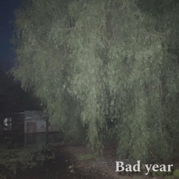 Really Awesome Fun Exciting Hectic Year | Pariah Kid