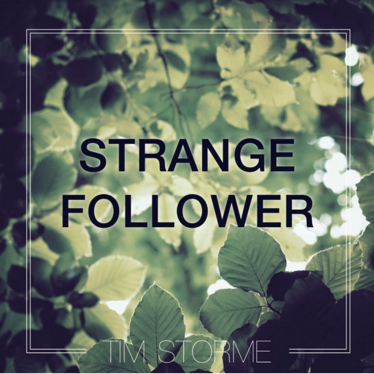 Strange Follower | Tim Storme