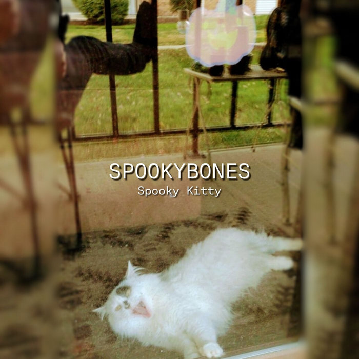 Spooky Kitty | Spookybones