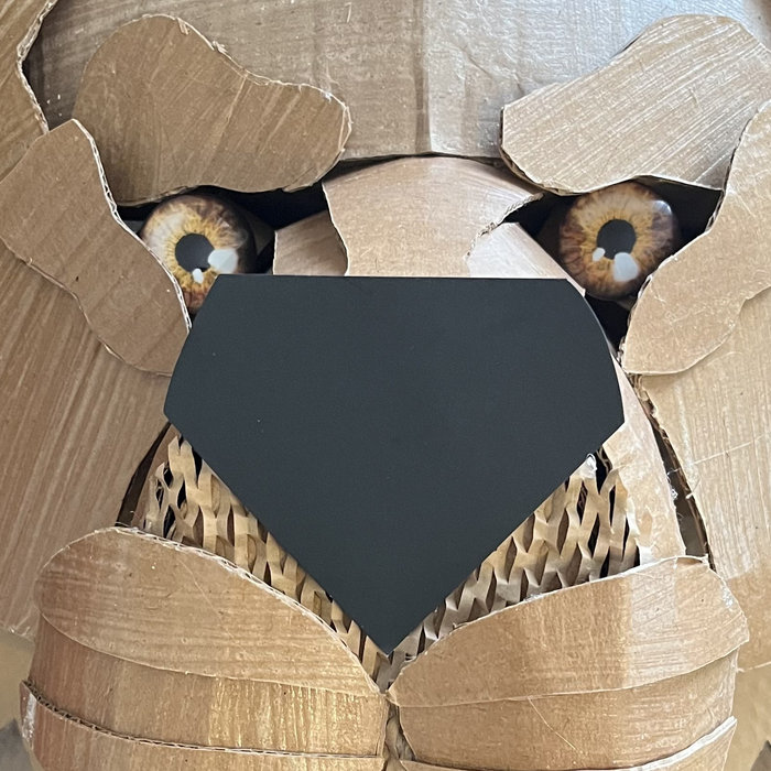 Hoopla Puppet Circus | Hoopla Puppetry