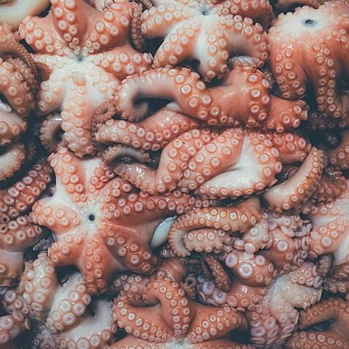 SLOW BOIL | Portal Bat