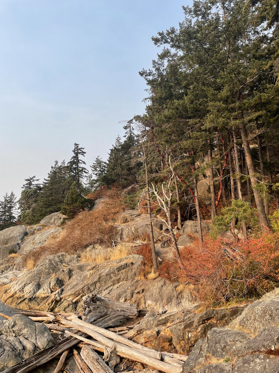 Ninety-two | _Ninety-t(h)ree | Ninety-t(h)ree