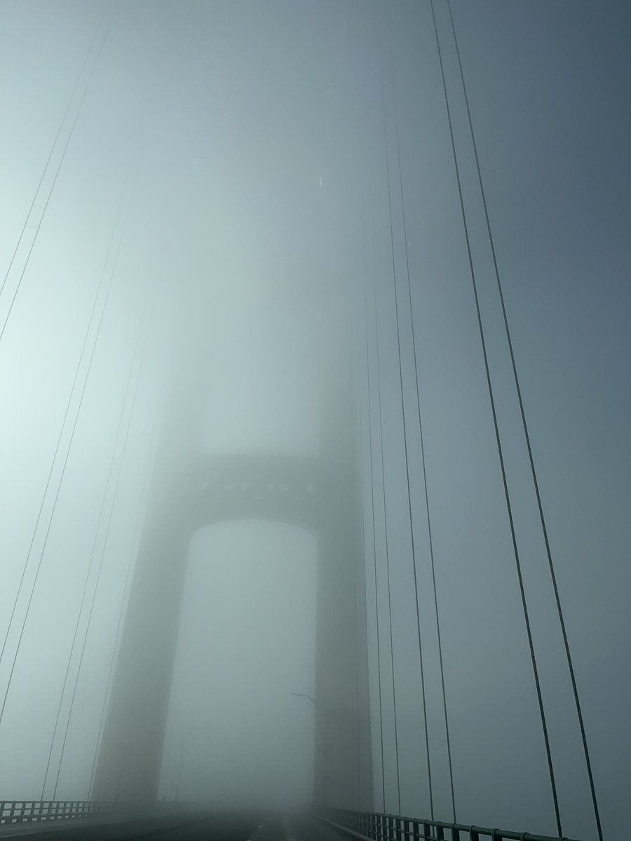 Avoidant | Math ap Mathonwy