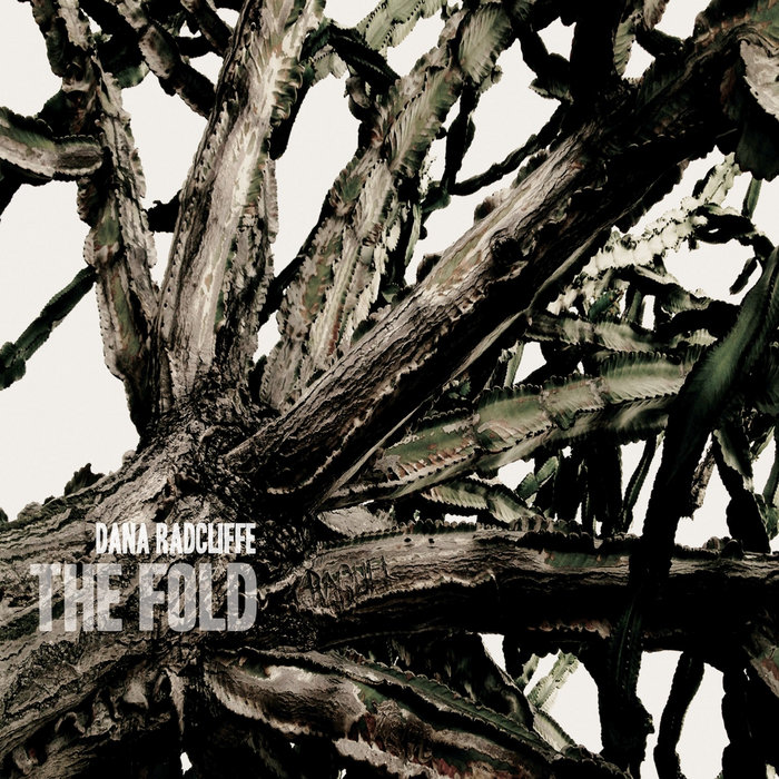 The Fold | Dana Radcliffe