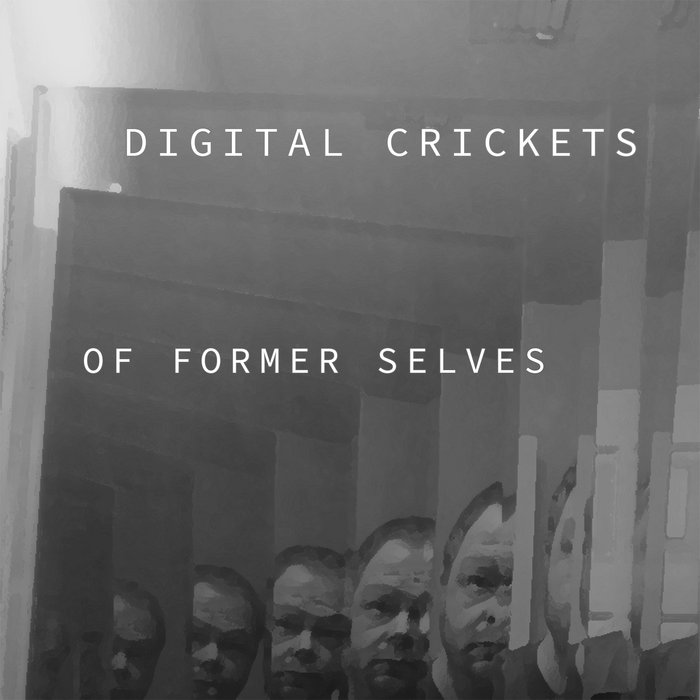 Magnetic Stimulation | Digital Crickets