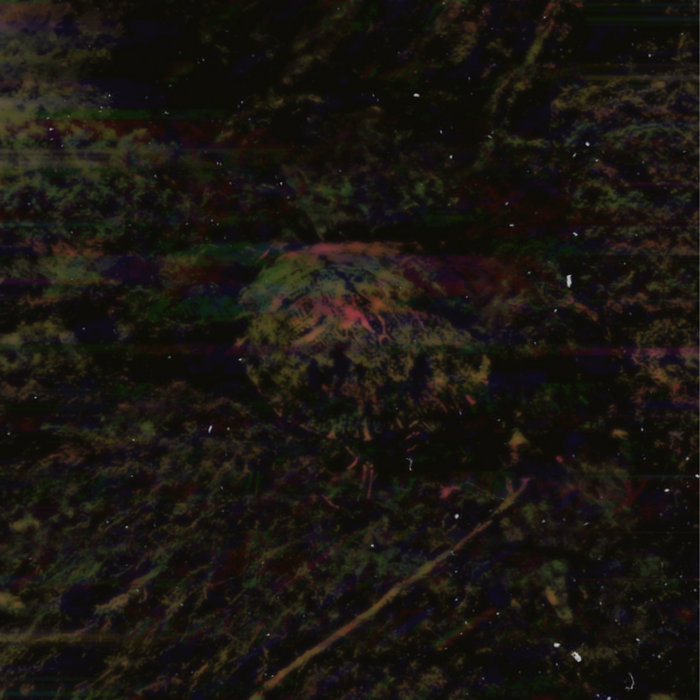 SWAMP | s.wamp | geyser campfire