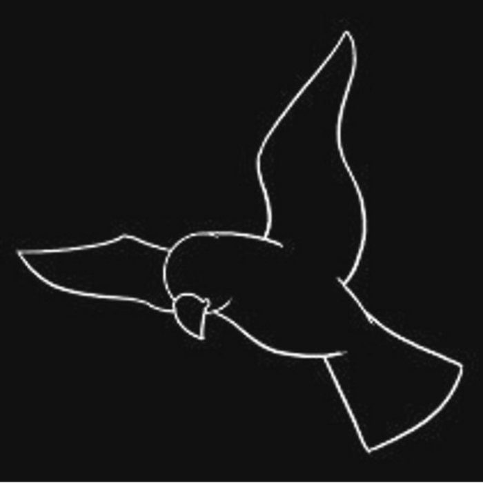 Syntrofunk / Shakedown | DJSK | Sam Kennith