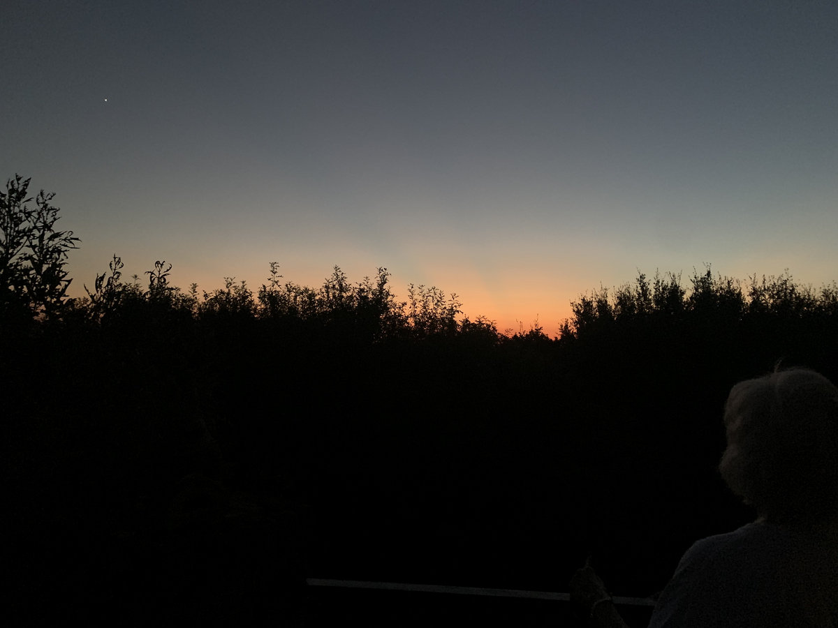 Seraphic Light | Pacific Horizons