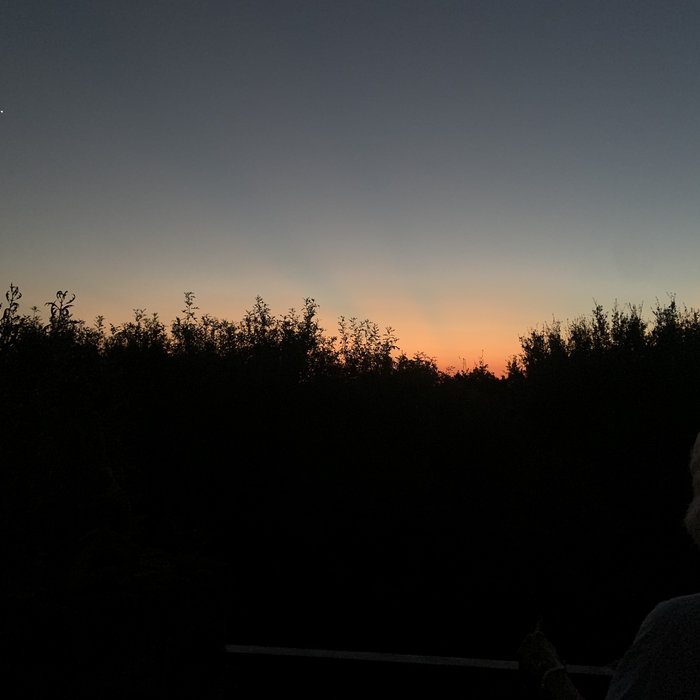 Seraphic Light | Pacific Horizons