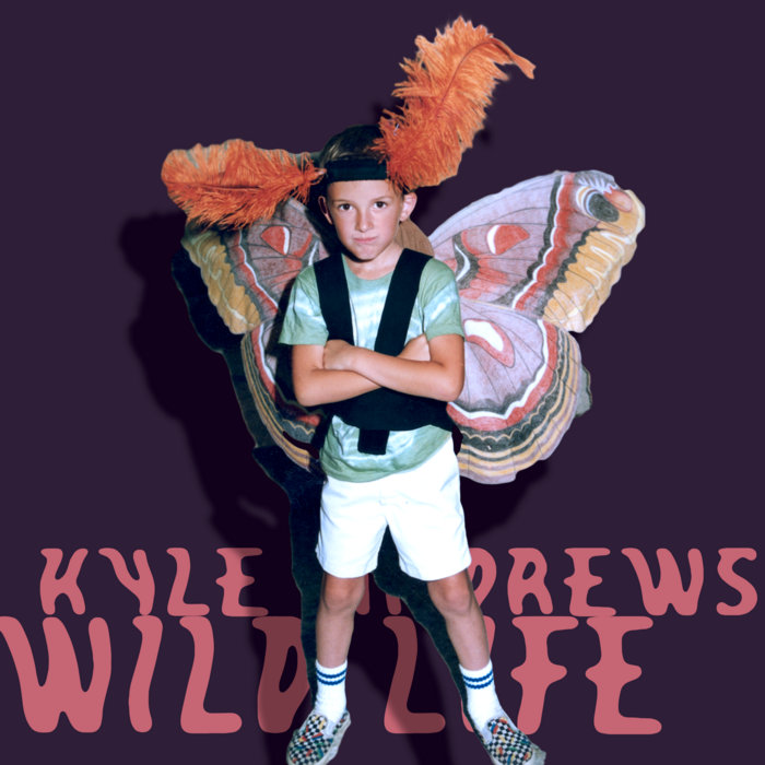 Wild Life | Kyle Andrews