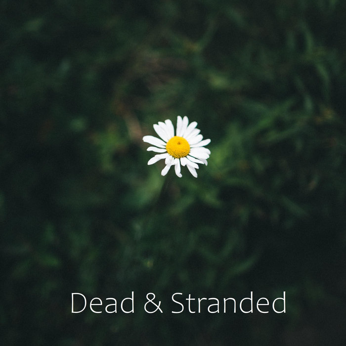 Dead & Stranded | Kingdoms & Kastles