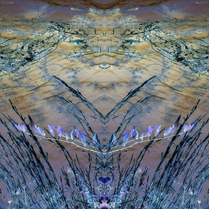 Glass Mouth (Demo) | Curdled Skin
