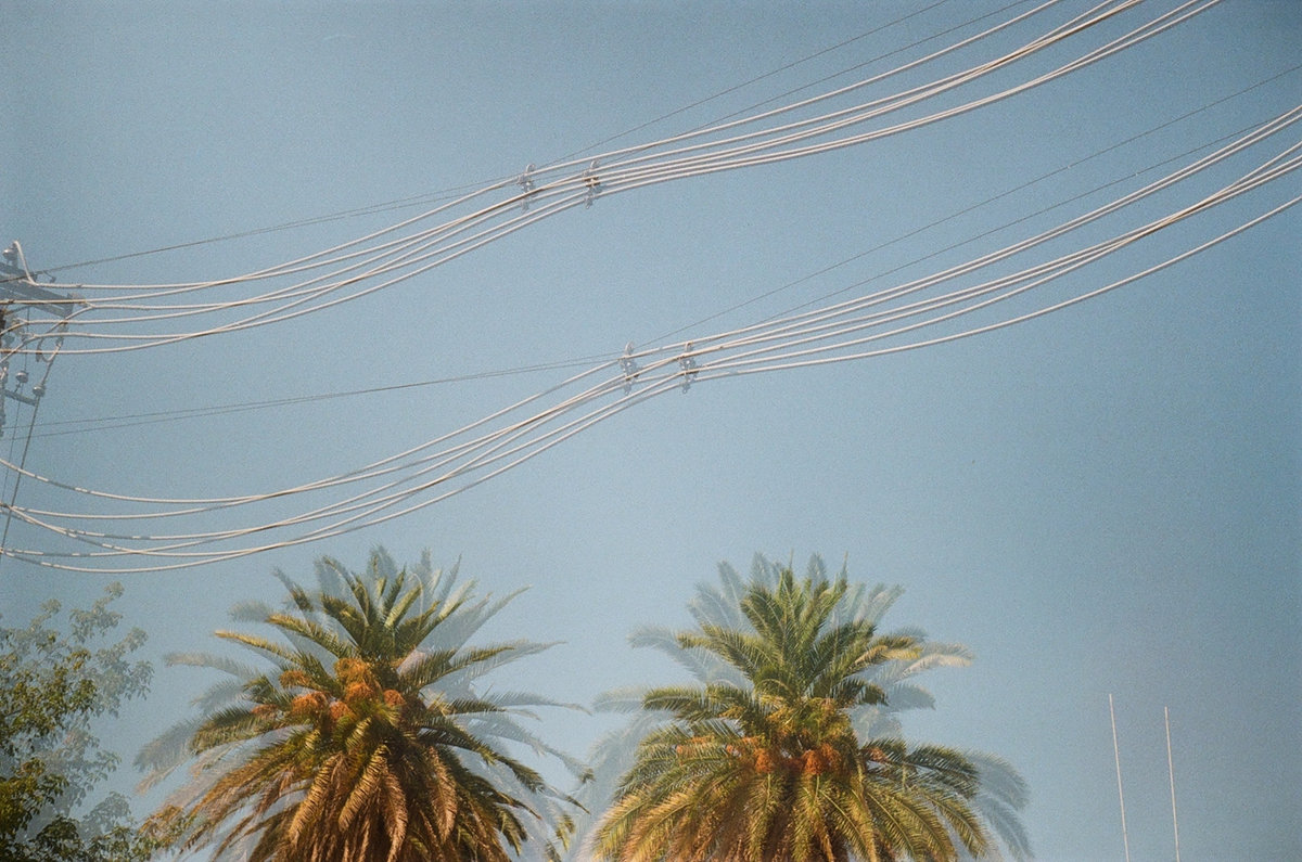 The Land Ethic, Winter 2024 | Andrew Weathers