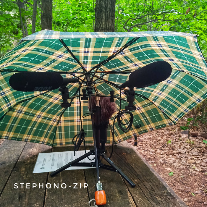 Pioggia all'alba sotto l'ombrello nel bosco di Pera Caval | Stephono ZIP