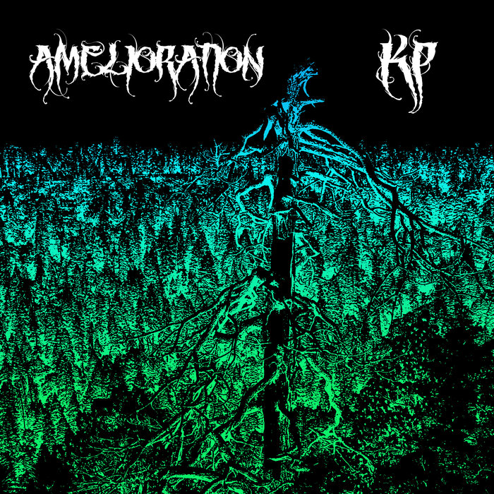 Amelioration | Kyle Peterman