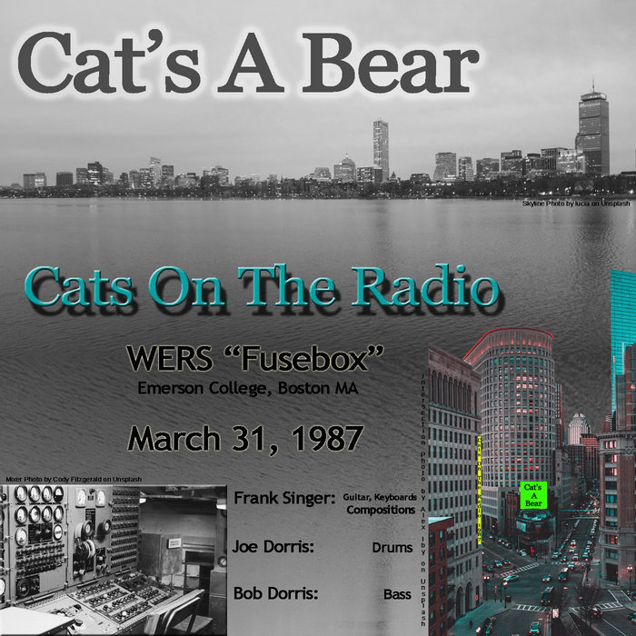Cats On The Radio | Cat's A Bear