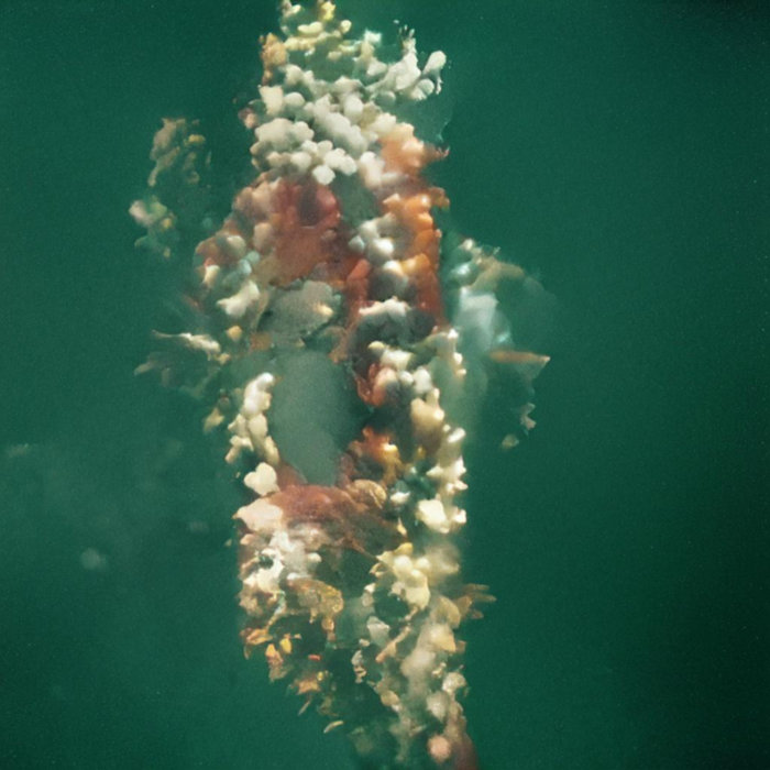 violence | LLDD | LLDD.