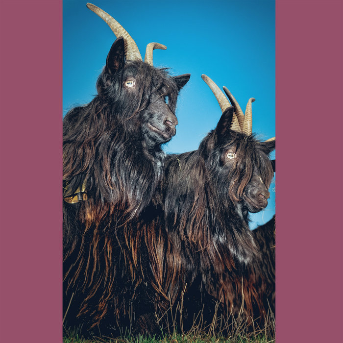 Silence Will Never Die | Martina Berther / Philipp Schlotter | Martina ...