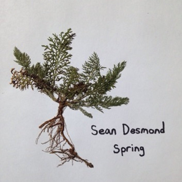 Spring | Sean Desmond