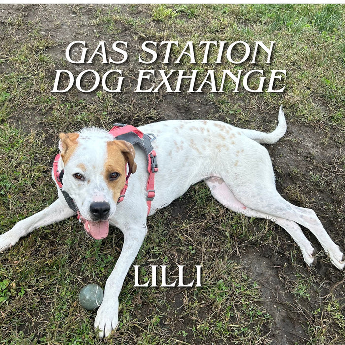 Lilli | Gas Station Dog Exchange