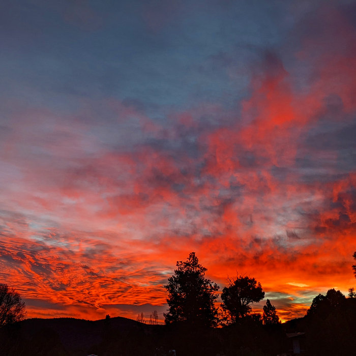 Sleep Well | Bluebird Williams