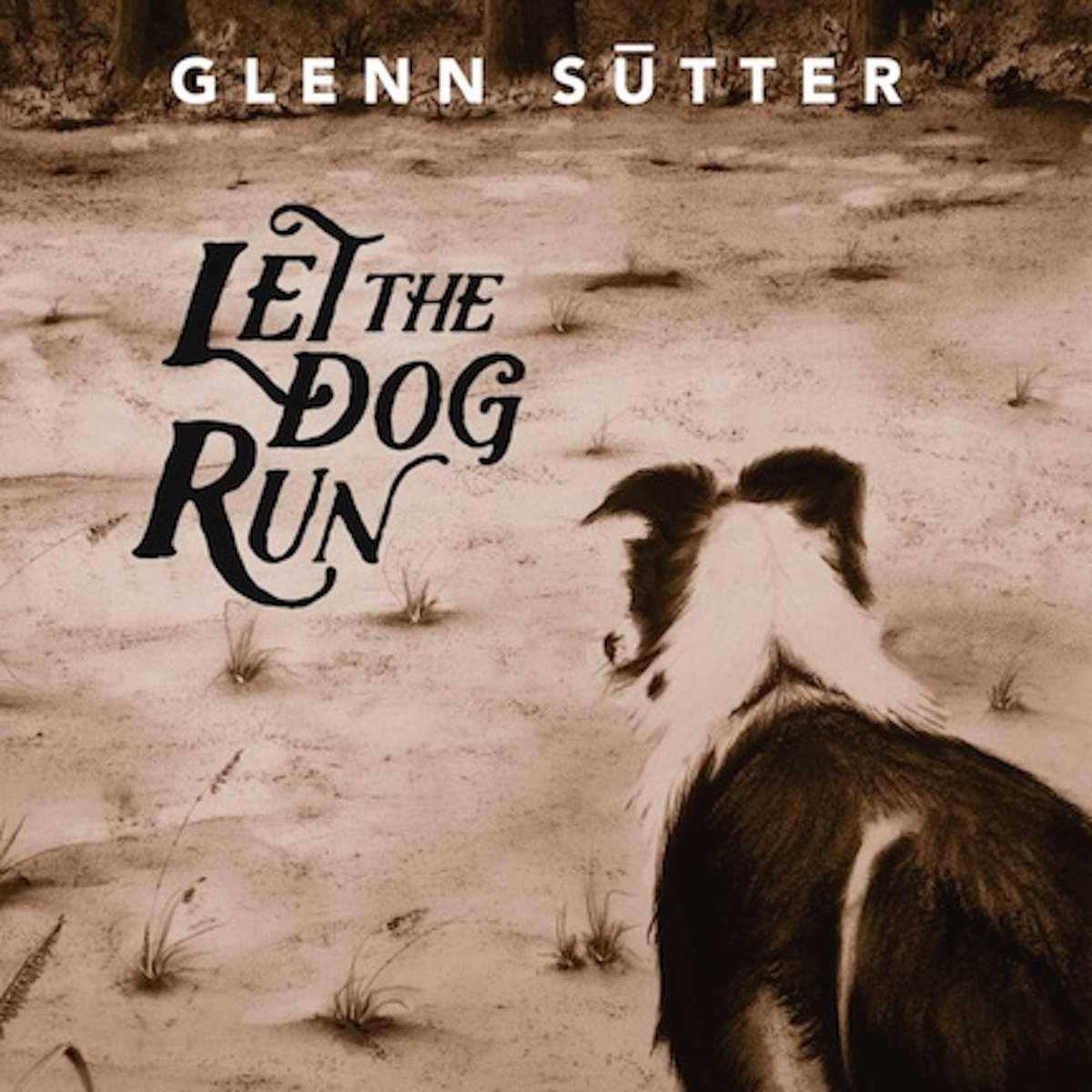 Let the Dog Run | Glenn Sutter