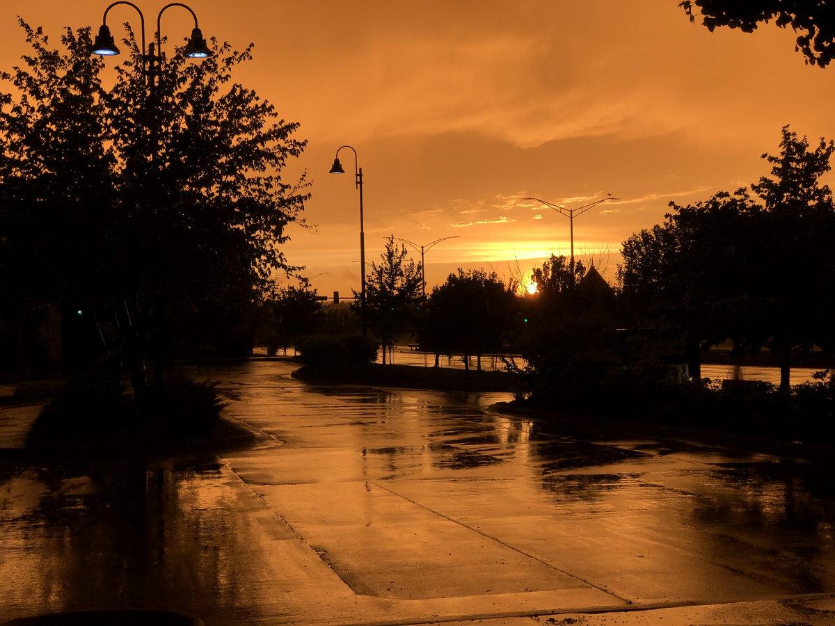 Rainy Reese's | Brendan Sellers