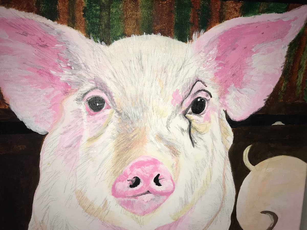 Pity Party | Jonathan Whitfield | Can't be a musician tapes