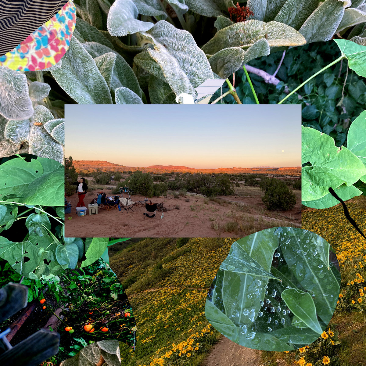 Esther Theme | SUBJECT WILL CHANGE