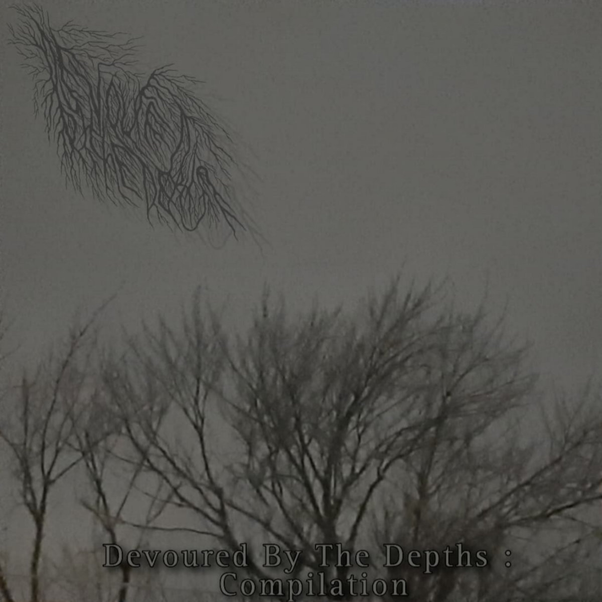 Devoured By The Depths Compilation | Devoured By The Depths