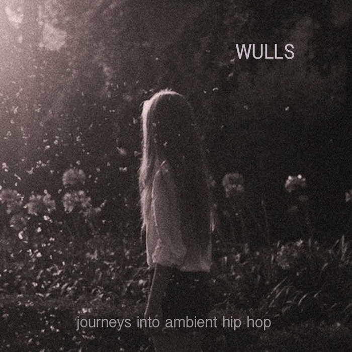 Journey's into Ambient Hip Hop | Wulls