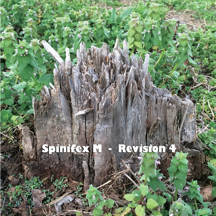 Revision 4 | Spinifex M