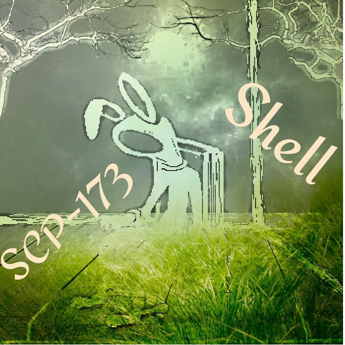 Shell | Robin The Soundsmith