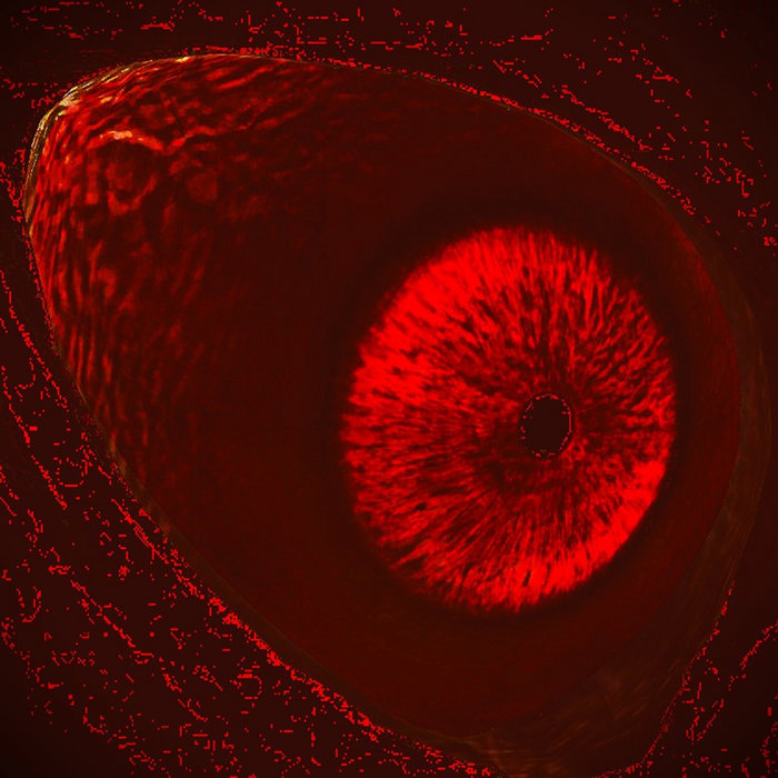 EYES OF HATRED | Unidentity