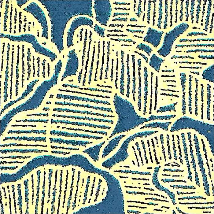 Diluted Margin | Ragged Lines | Metaphysical Circuits