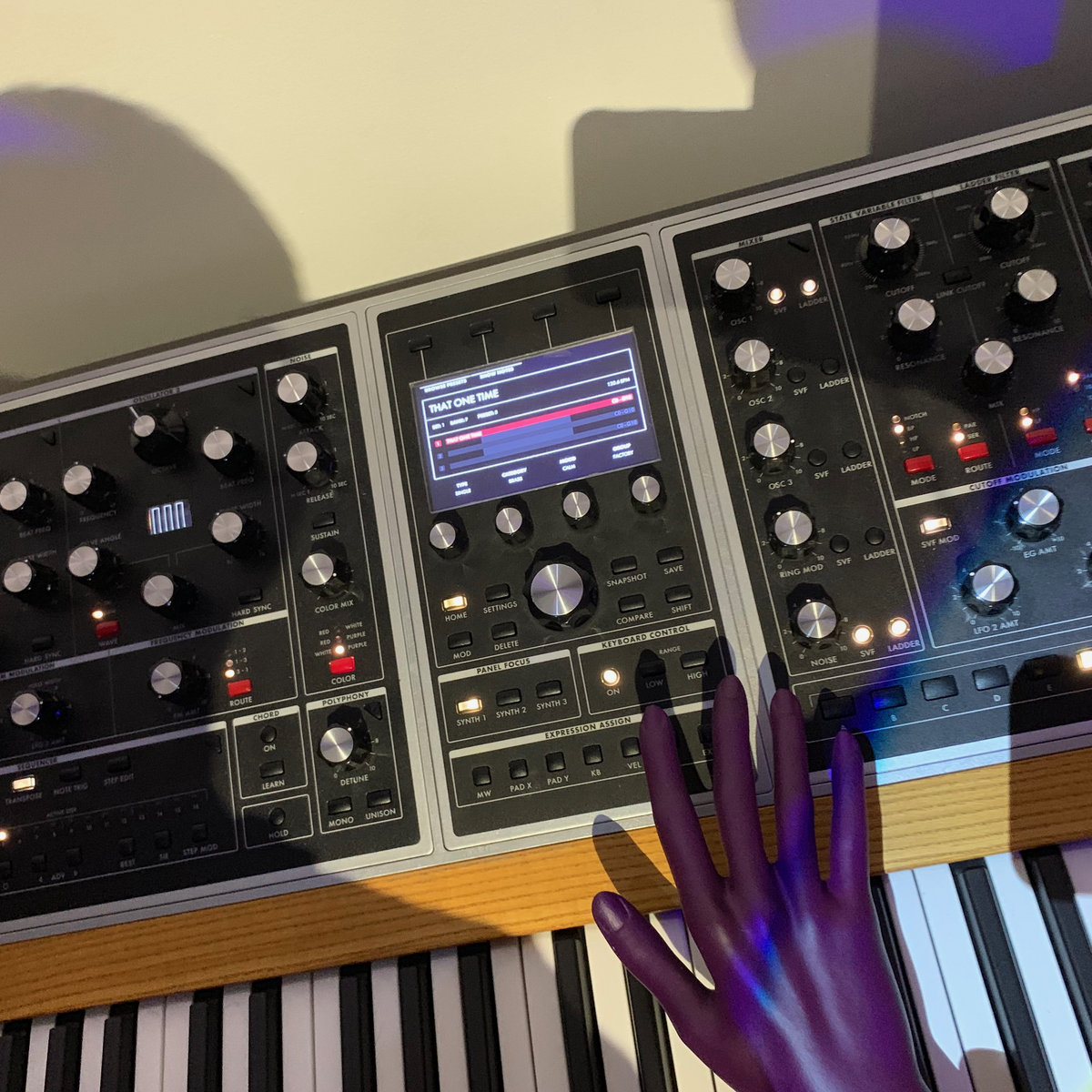 Moog One Sample Pack | Samples Unlimited