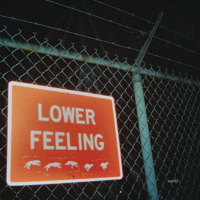 Lower Feeling | Rarity