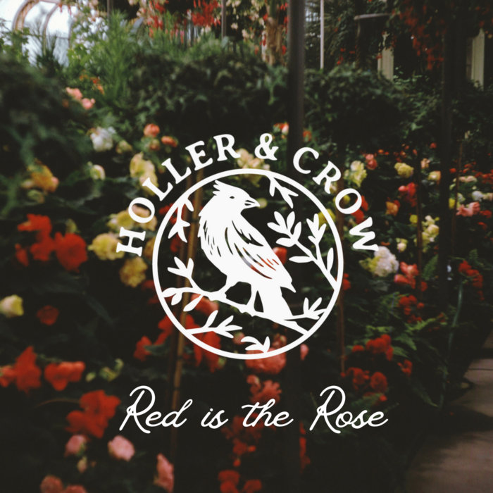 Red is the Rose | Holler & Crow