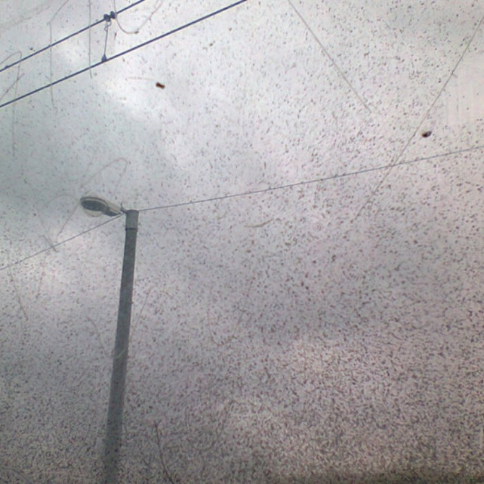 Ascetico/Predicado | Ascetico/Predicado | Joven Herme$