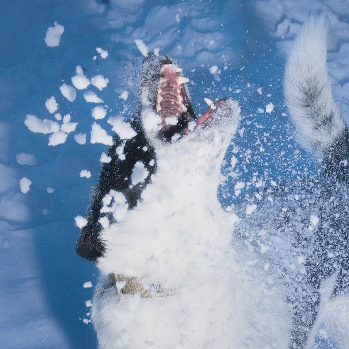 Run It Wild | Stolen Jars