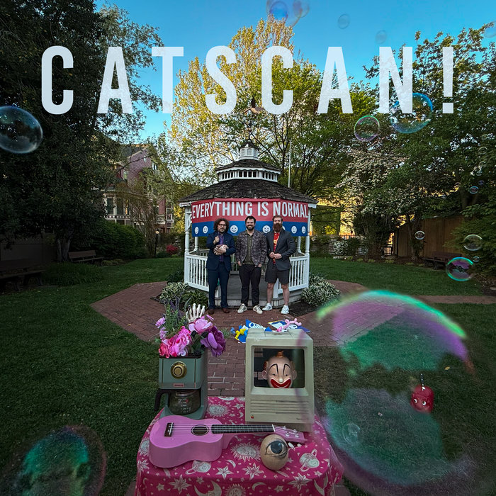 Everything is Normal | Catscan!
