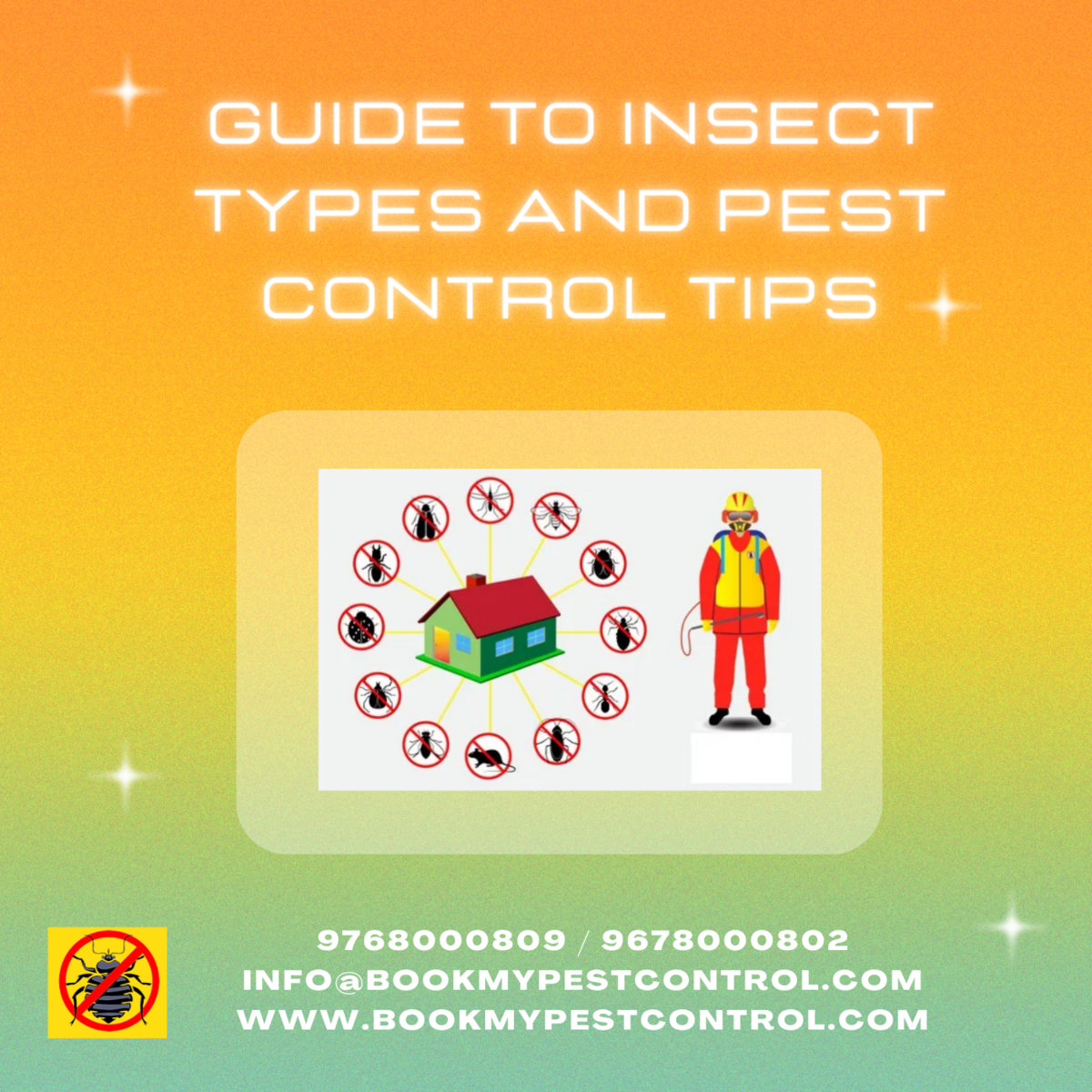 Guide to Insect Types and Pest Control Tips | pestcontrol