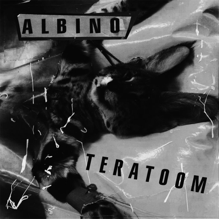 TERATOOM | Albino