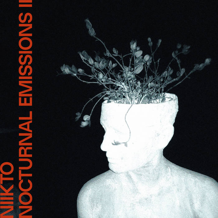 Nocturnal Emissions II | NIIKTO