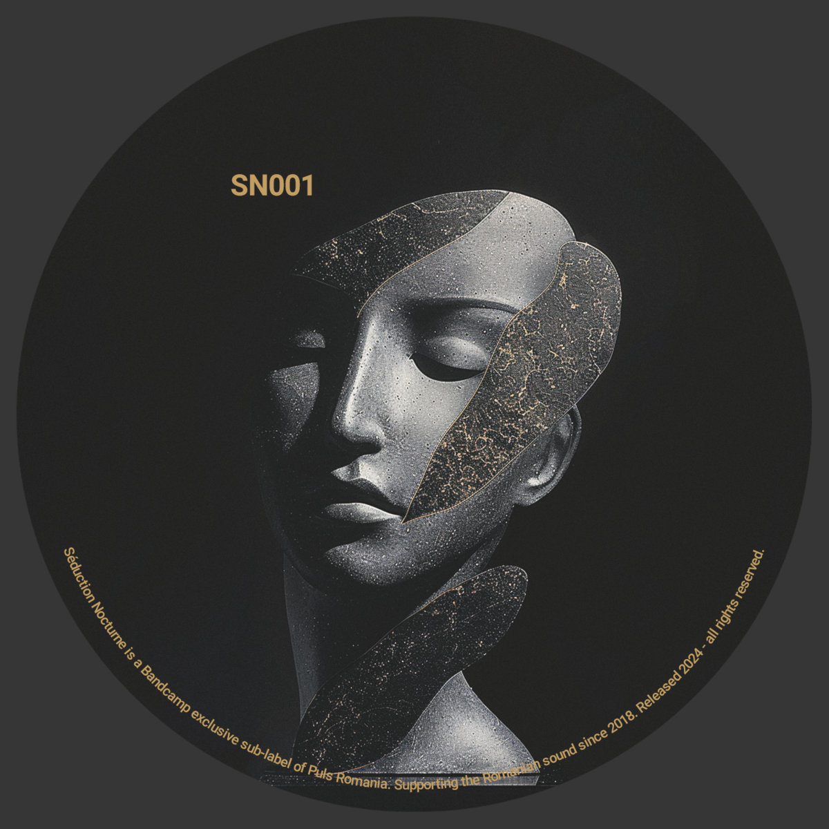 Unity in Diversity | Daniel Meister | Puls Romania