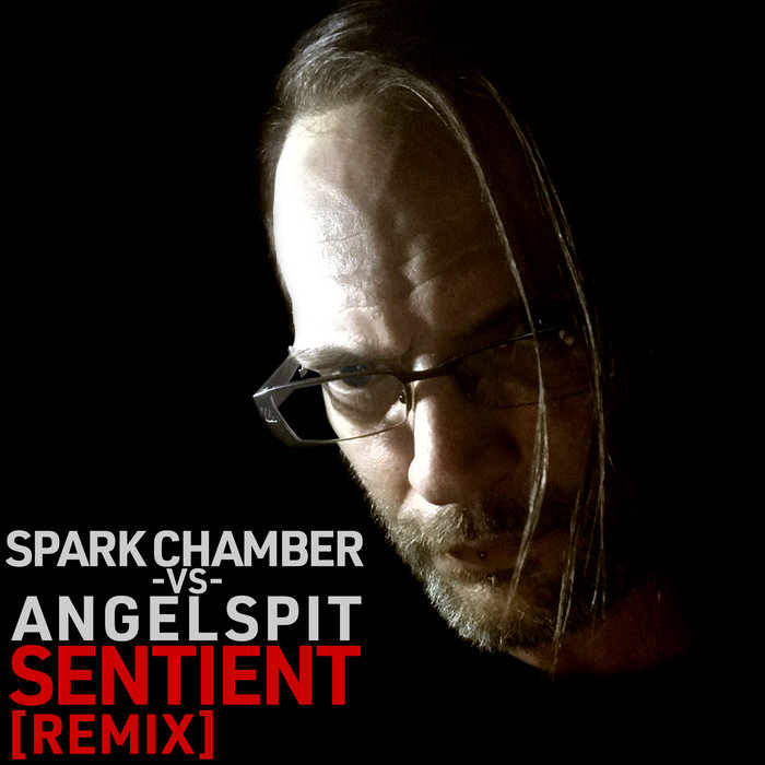 Sentient (Spark Chamber Remix) | Angelspit, Spark Chamber | Angelspit